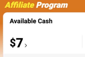 Temu Affiliate Program Review [2025] Pros and Cons • Touchdown Money