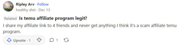 Temu Affiliate Program Review [2025] Pros and Cons • Touchdown Money