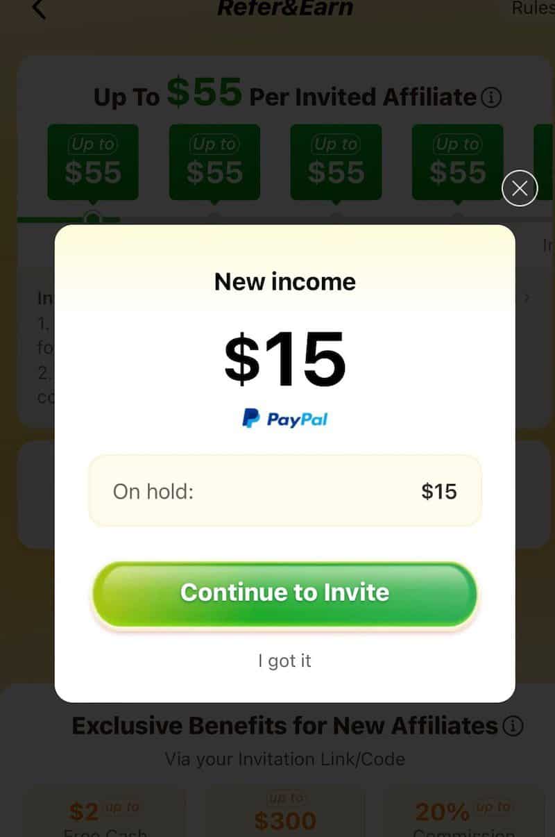 Temu Affiliate Program Review [2025] Pros and Cons • Touchdown Money